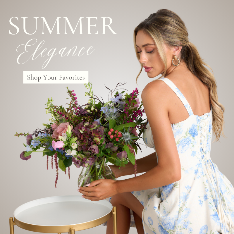 Red Dress Boutique | Timeless Women's Clothing for Classic Elegance